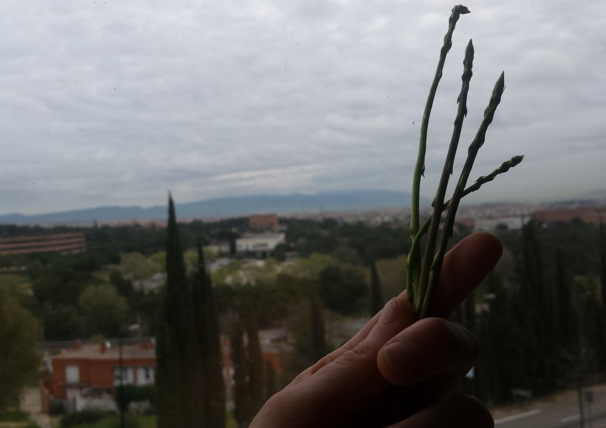 Talks and Lectures – Kristin Courtney